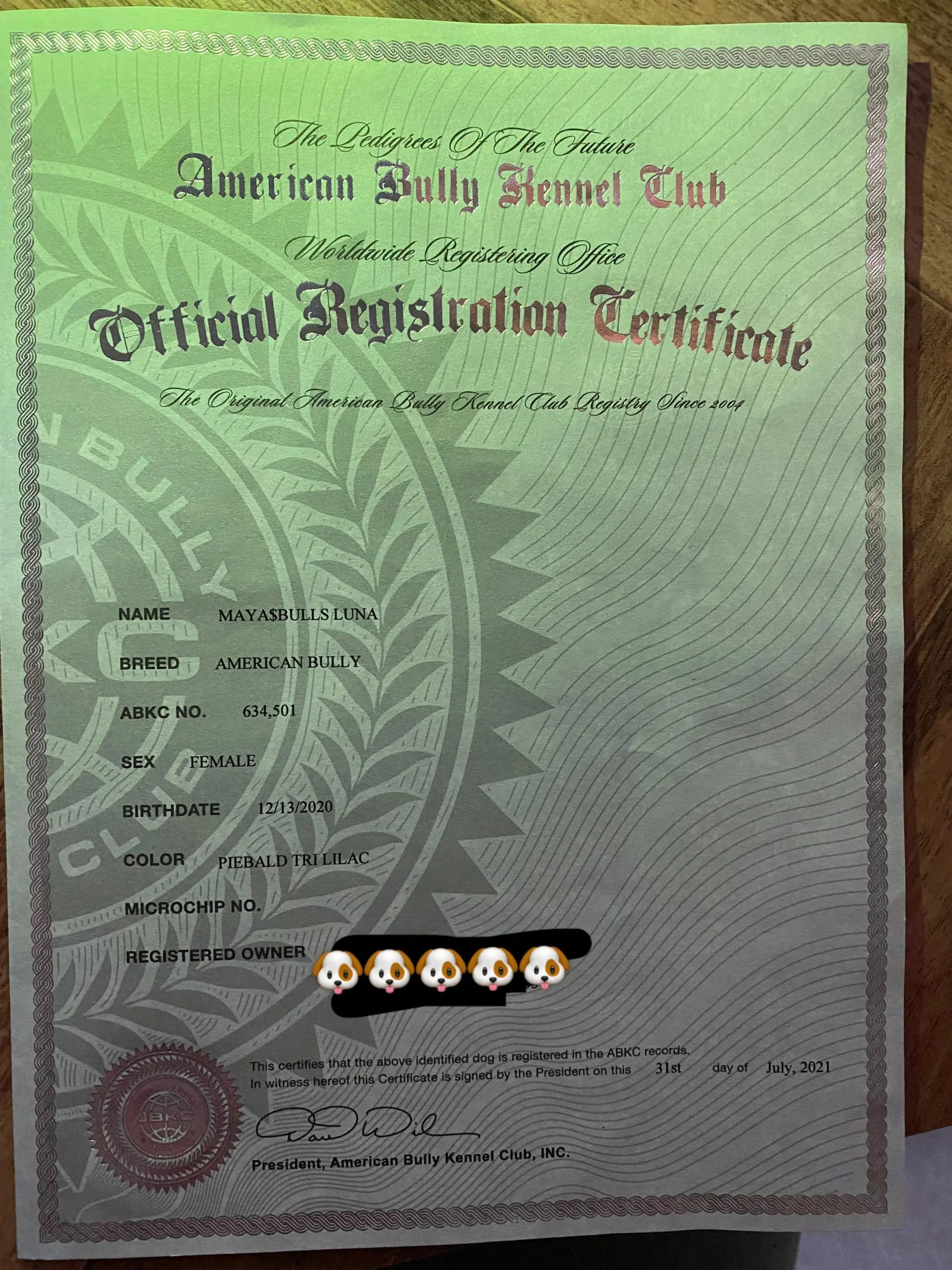 How to Spot Fake Abkc Papers? - 2023 Petsical